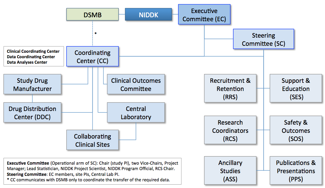 D2d Study CC Organization - D2d Study